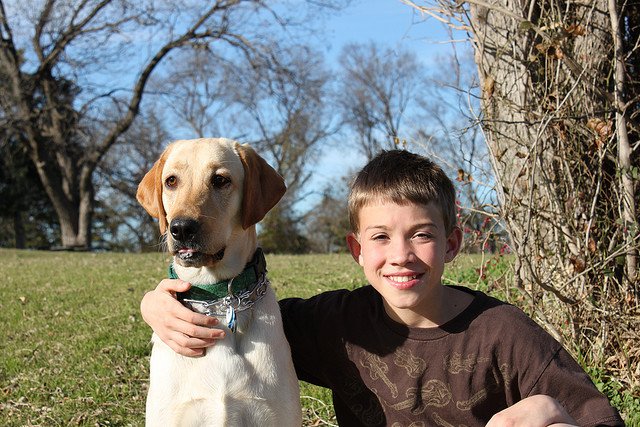 5 Steps of Adopting a Dog in the Family | Green Living Bees
