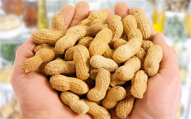 5 Facts about Nuts that Make You Go “Nuts”! | Green Living Bees